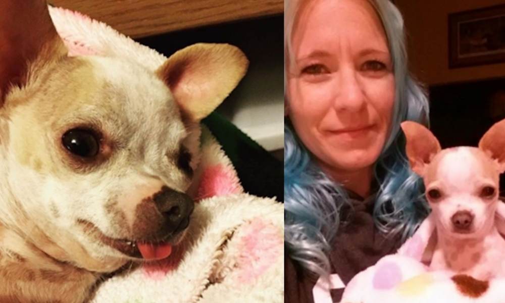 Lucy's Horribly Rotten Teeth Will Kill Her But Mom Can't Afford The ...