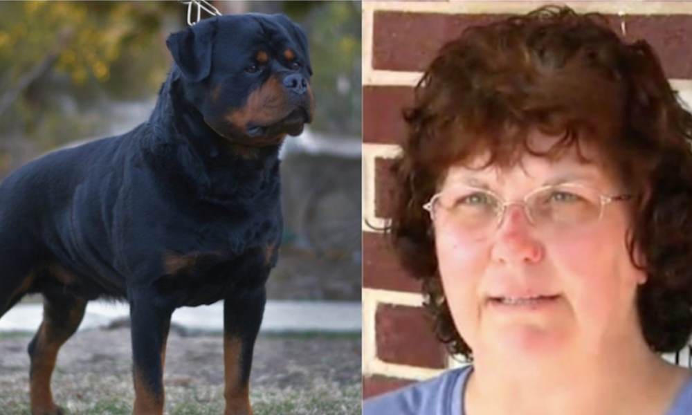 Lisa's Panicked Pooch Won't Stop Barking, She Flings Open The Door, And ...