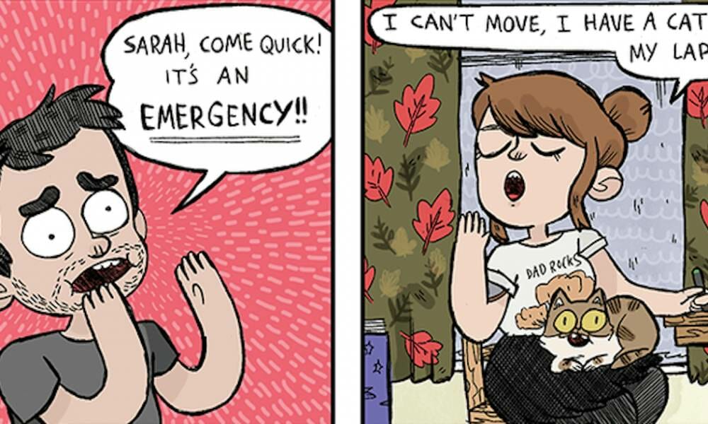 12 Knee-Slapping Cat Comics That Purr-fectly Capture The Life Of A ...