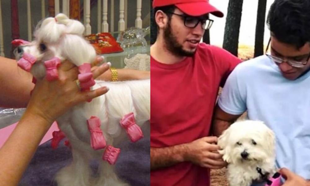 Frantic Cat Leads Mom To Her Daughter's Bedroom Door And Inside, A ...